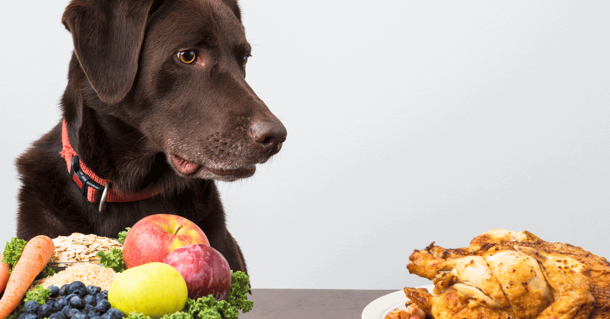 Safe Fruit and Vegetables for Dogs: A Comprehensive Guide - Ask The Pet ...