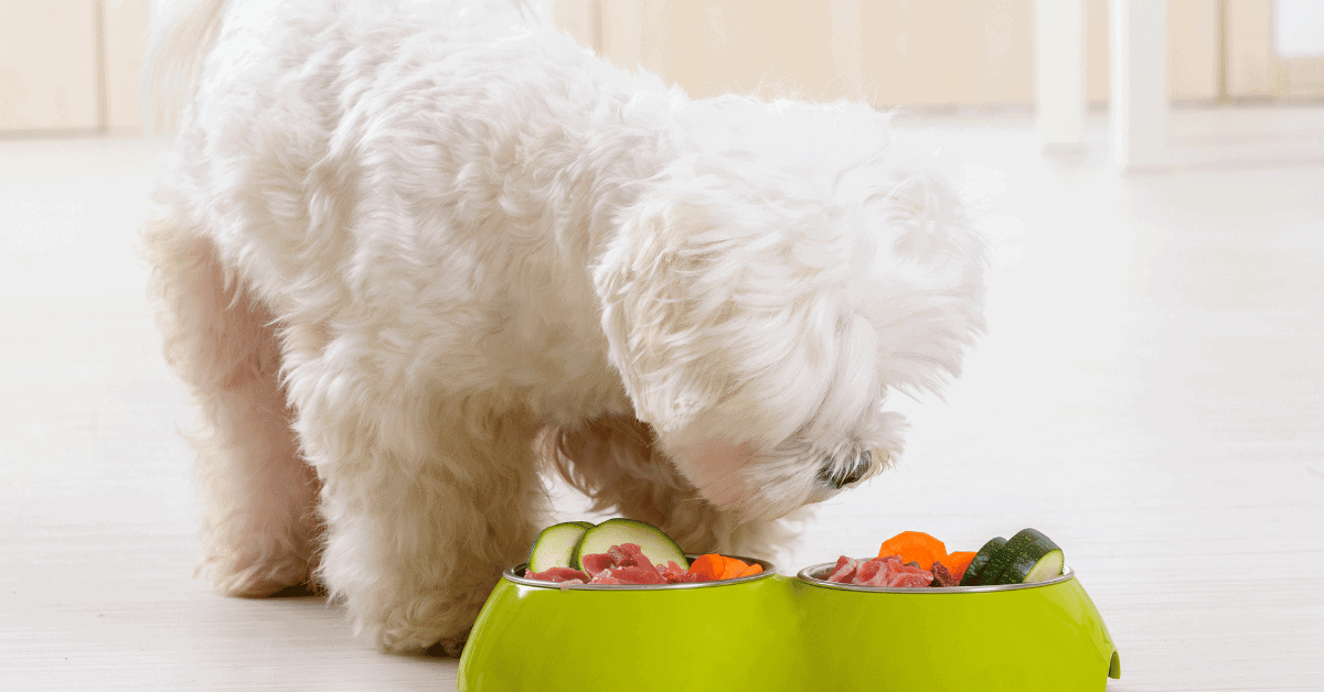 Safe Fruit and Vegetables for Dogs: A Comprehensive Guide - Ask The Pet ...