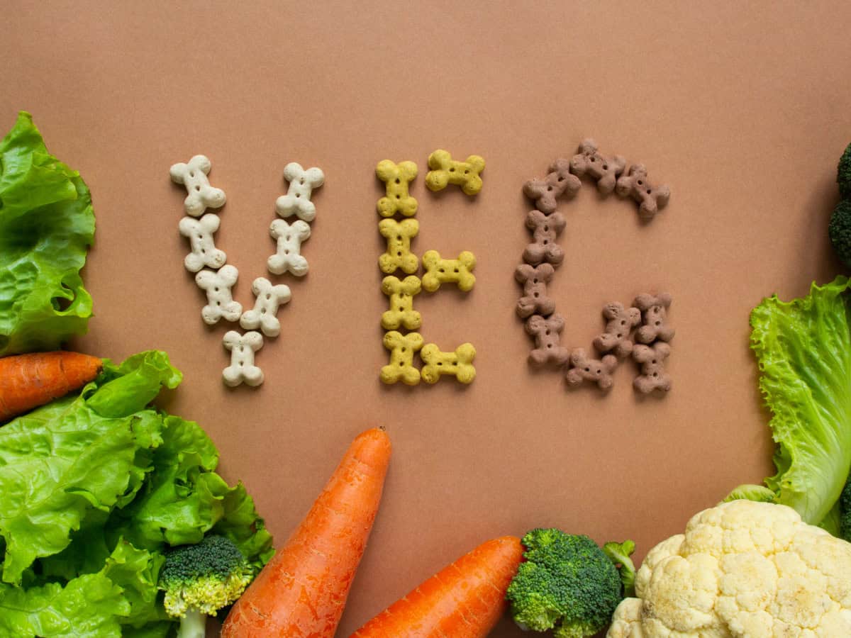 Safe Fruit and Vegetables for Dogs: A Comprehensive Guide - Ask The Pet ...